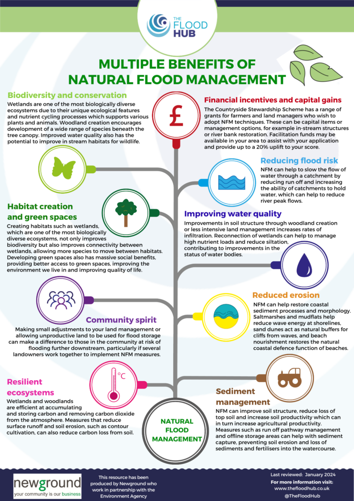Multiple Benefits of Natural Flood Management (NFM) | The Flood Hub