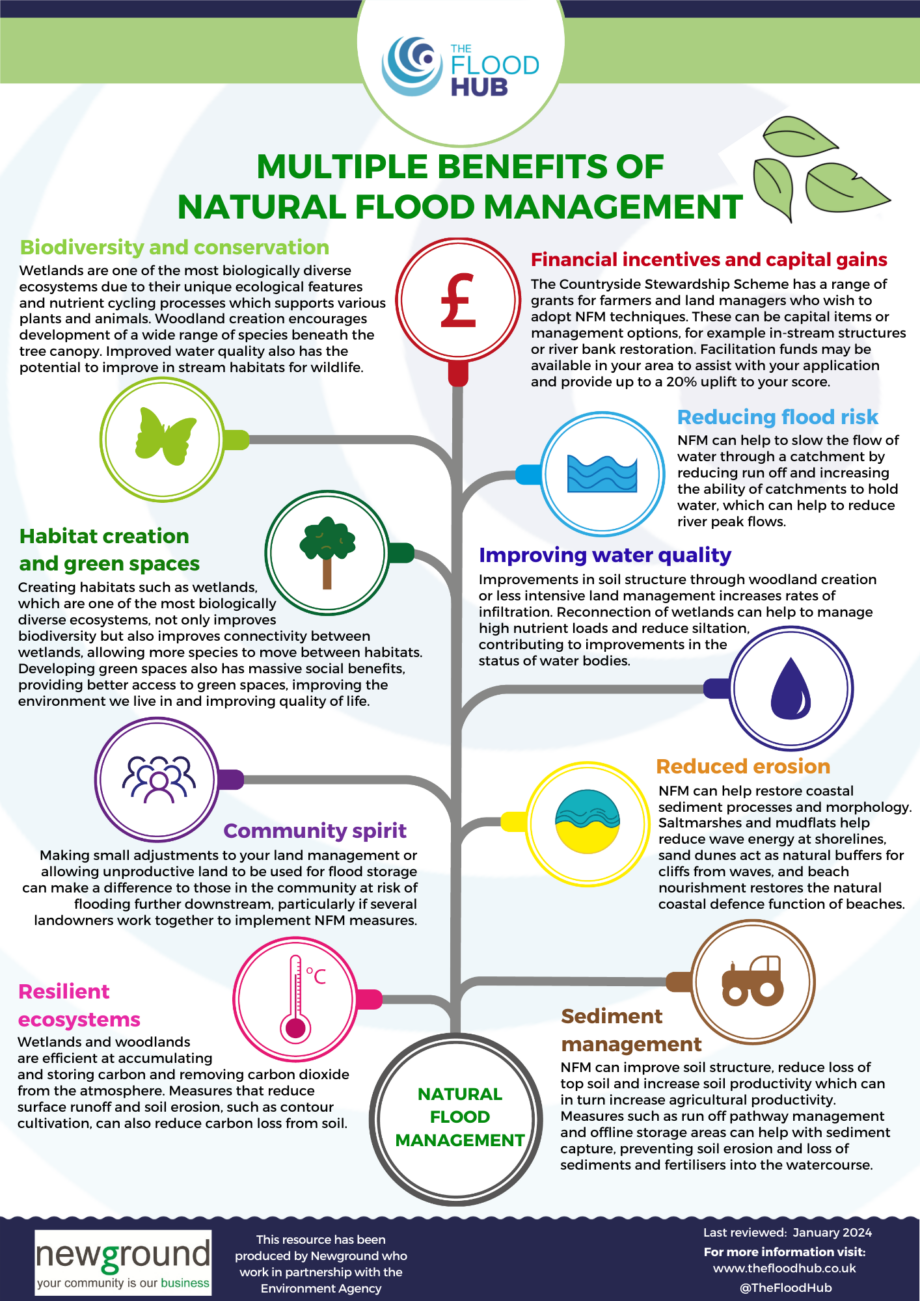 Multiple Benefits of Natural Flood Management (NFM) | The Flood Hub