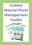 Natural Flood Management (NFM) | The Flood Hub
