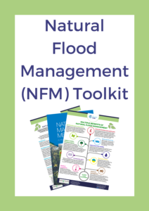 Natural Flood Management (NFM) | The Flood Hub