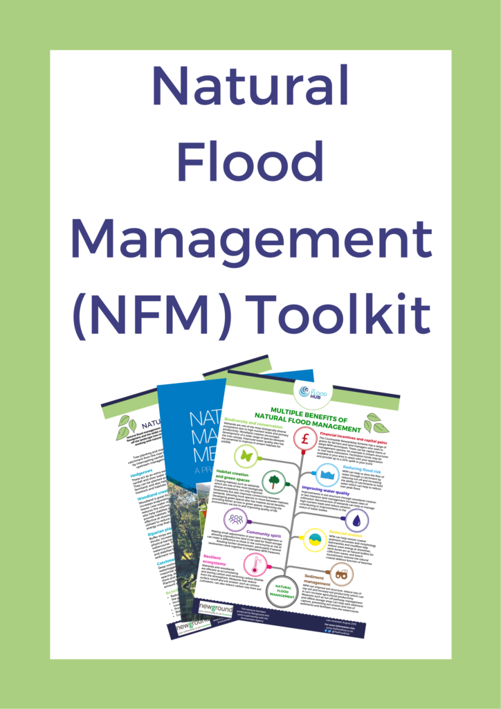 Natural Flood Management (NFM) | The Flood Hub