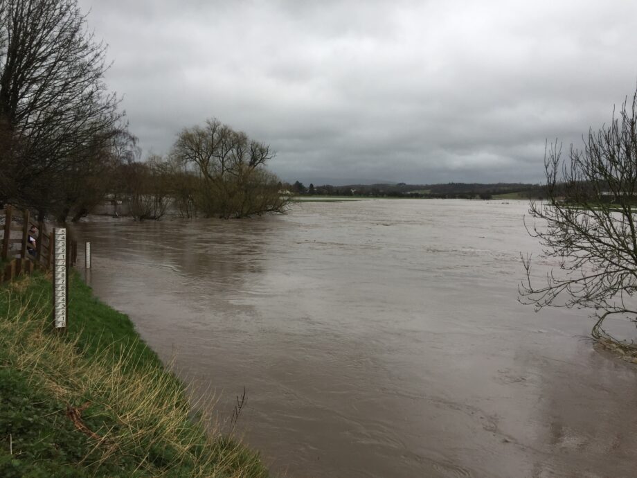 Am I at Risk? | The Flood Hub