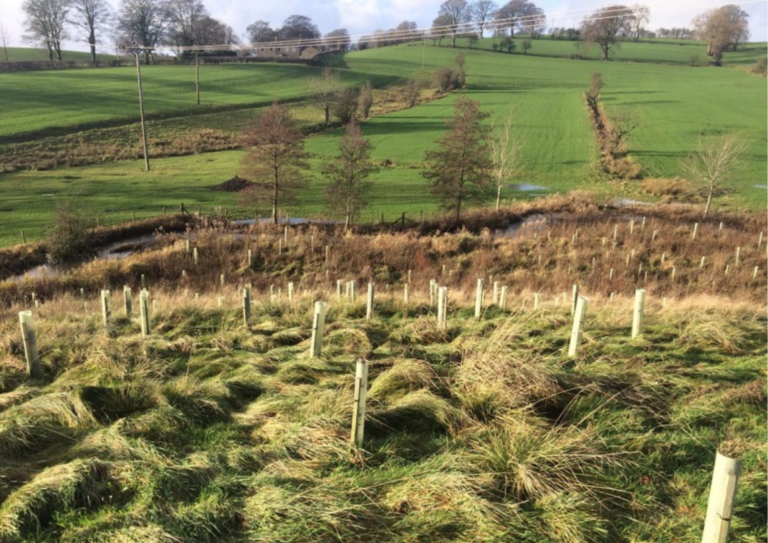 How Flood Risk is Managed | The Flood Hub