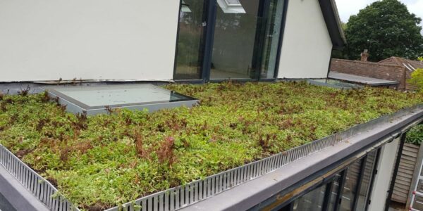 Sustainable Drainage Systems (SuDS) | The Flood Hub