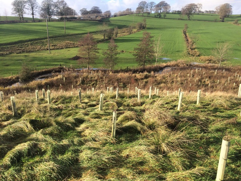 Landowner | The Flood Hub