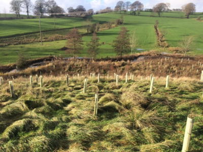 Multiple Benefits of Natural Flood Management (NFM) | The Flood Hub