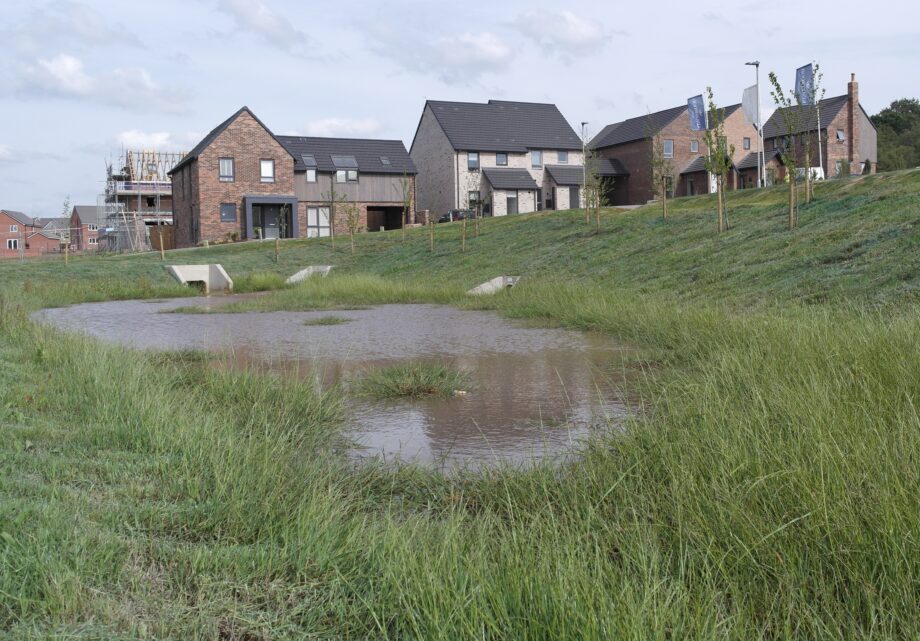 Should England Make Sustainable Drainage Systems (SuDS) Mandatory on ...