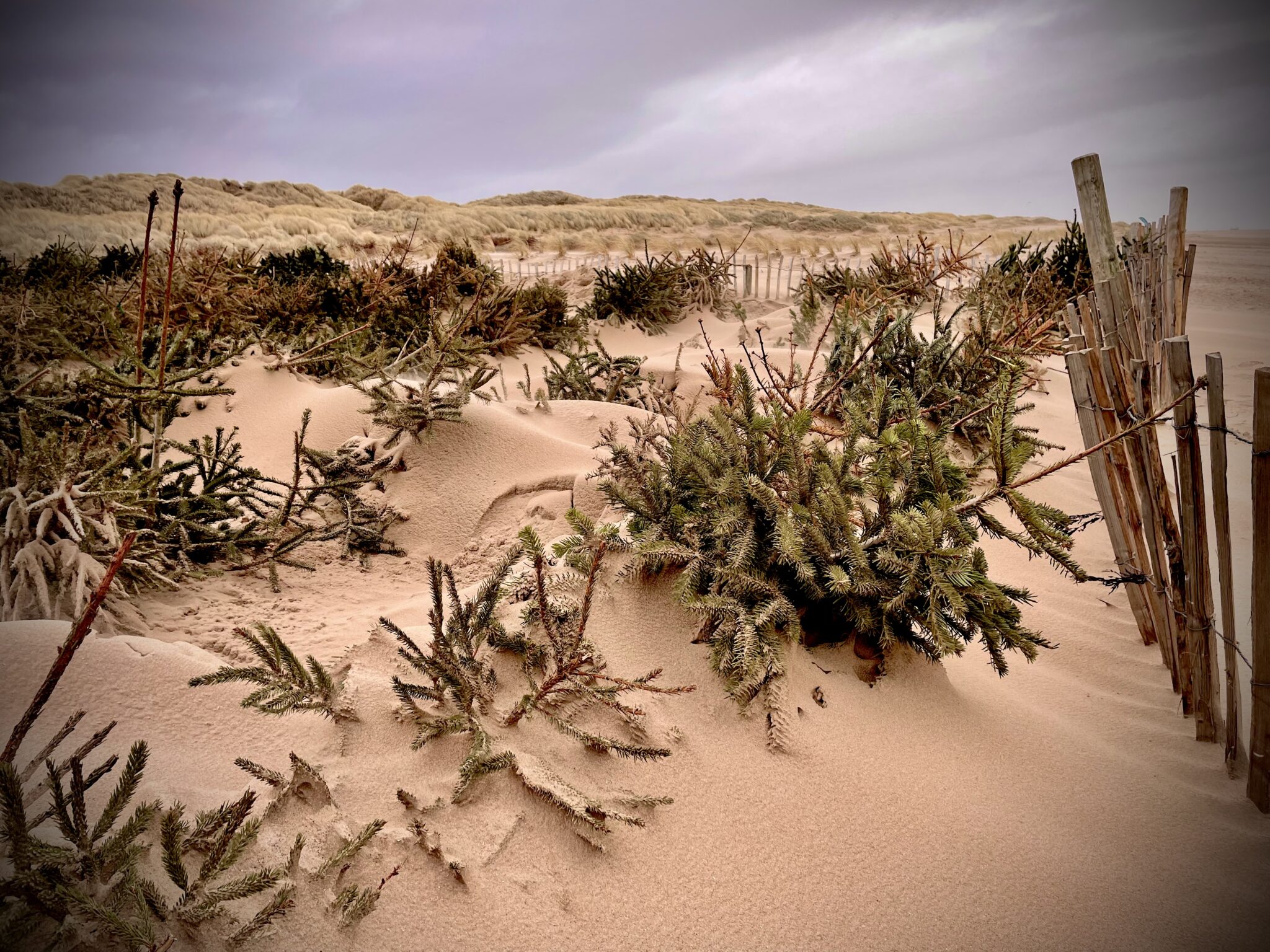Coastal Change | The Flood Hub
