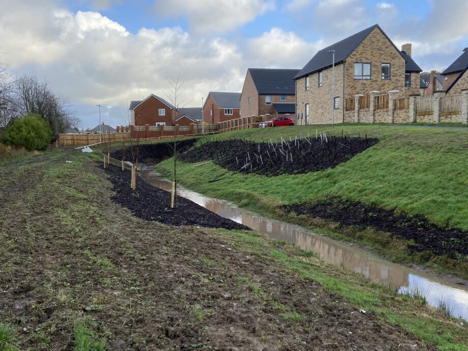 Sustainable Drainage Systems (SuDS) | The Flood Hub
