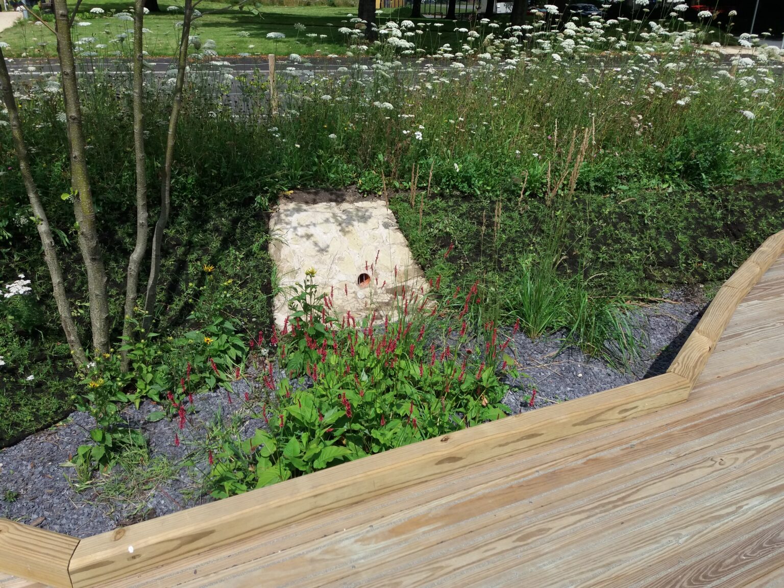 Sustainable Drainage Systems (SuDS) | The Flood Hub