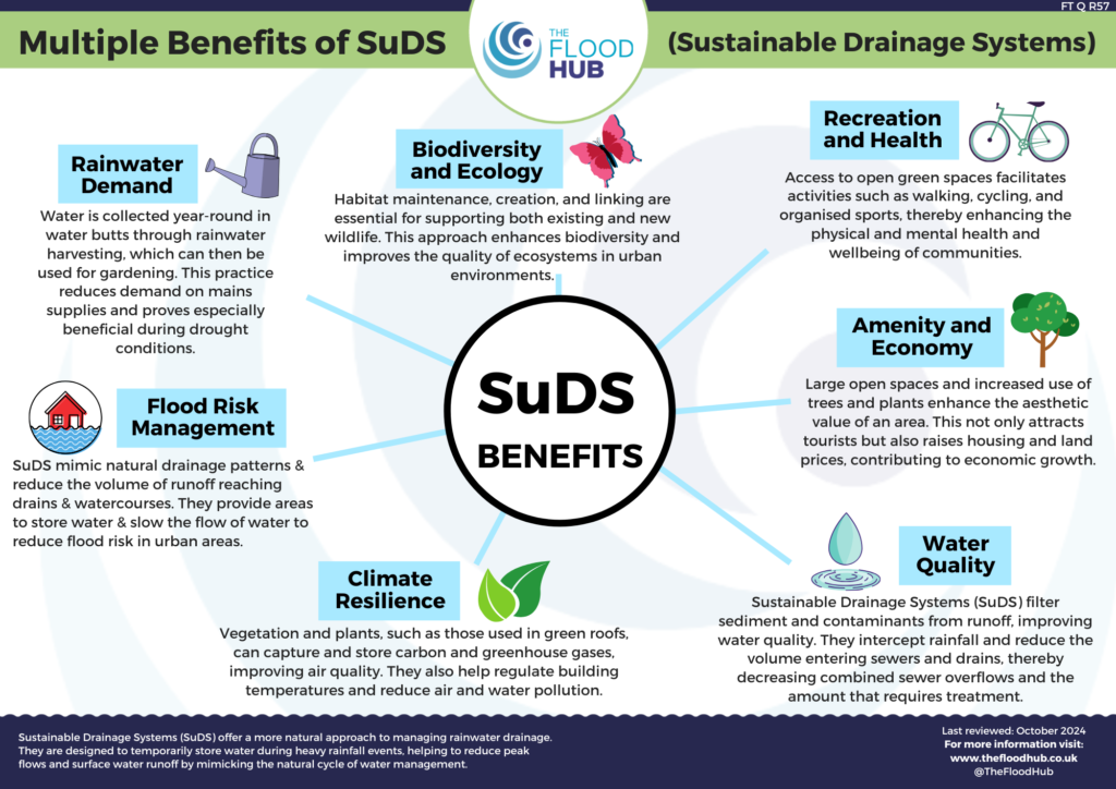 How Your Garden Can Help Manage Flood Risk | The Flood Hub