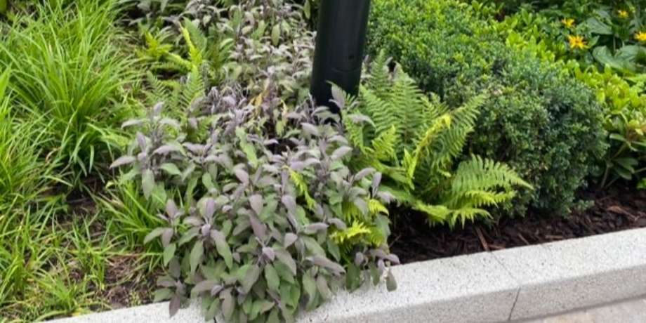 Sustainable Drainage Systems (SuDS) | The Flood Hub