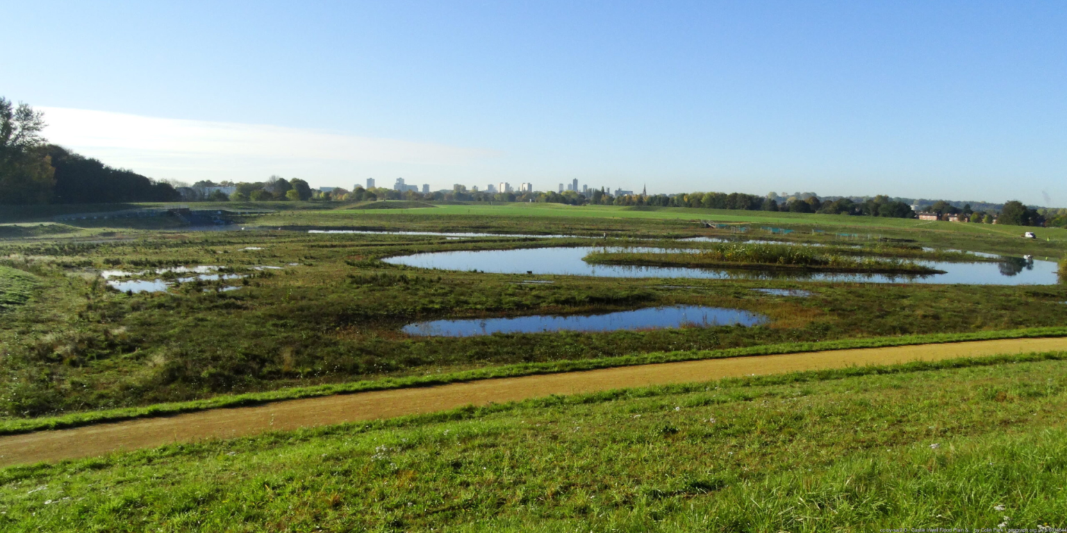 Sustainable Drainage Systems (SuDS) | The Flood Hub